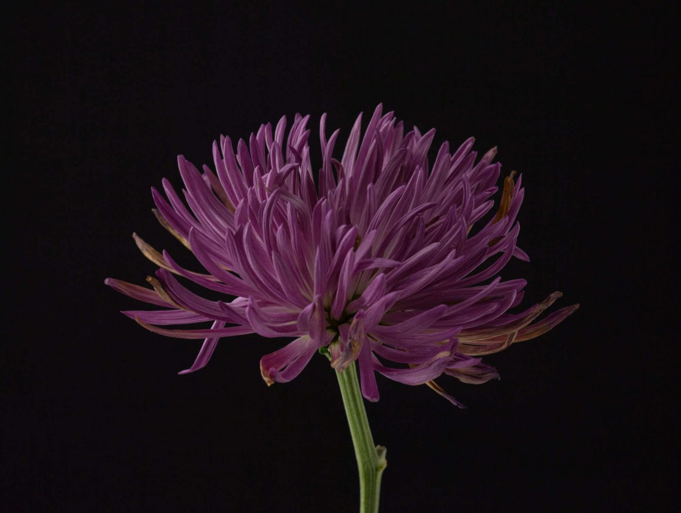 Vessels with Images – Andy Clift